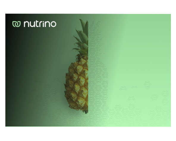 Nutrino | Webstick - Coding your Experience